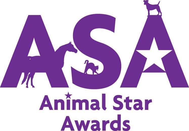 My Anxious Dog wins at the Animal Star Awards 2021