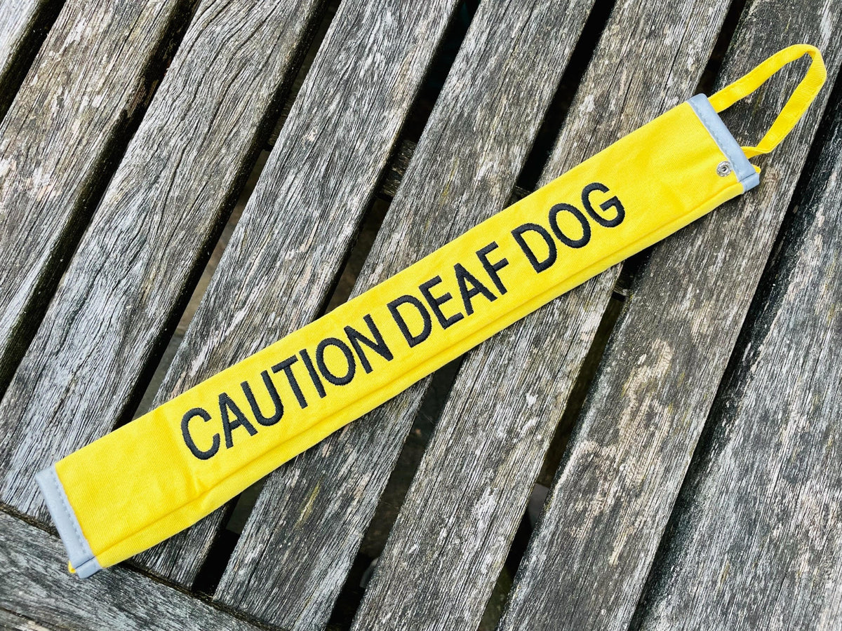 Empowering Deaf Dogs - Unveiling Canine Communication with Yellow" – My ...