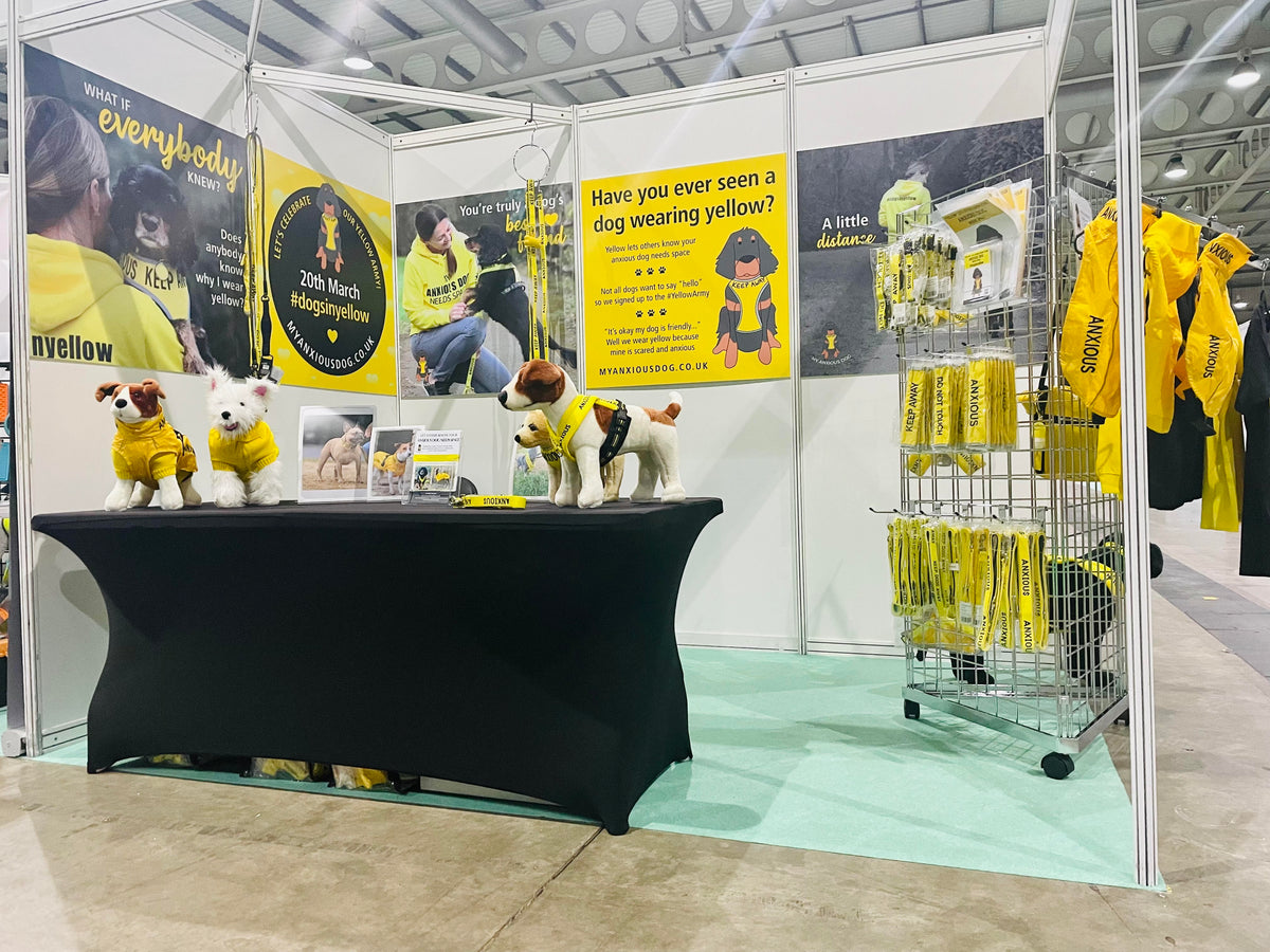 My Anxious Dog was at the launch of Edition Dog Live 2022