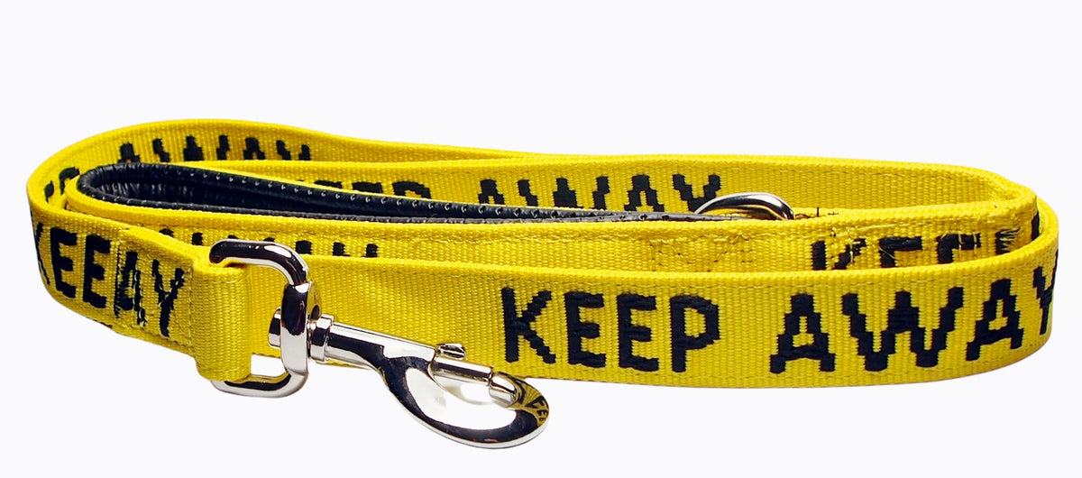 What is a yellow dog warning product? – My Anxious Dog