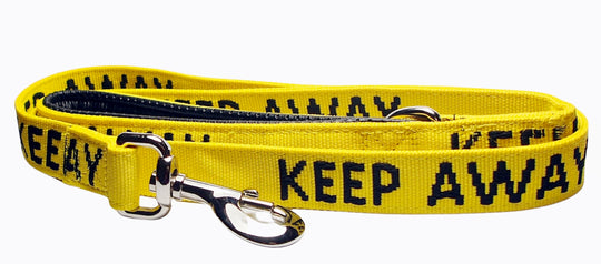 What is a yellow dog warning product? – My Anxious Dog