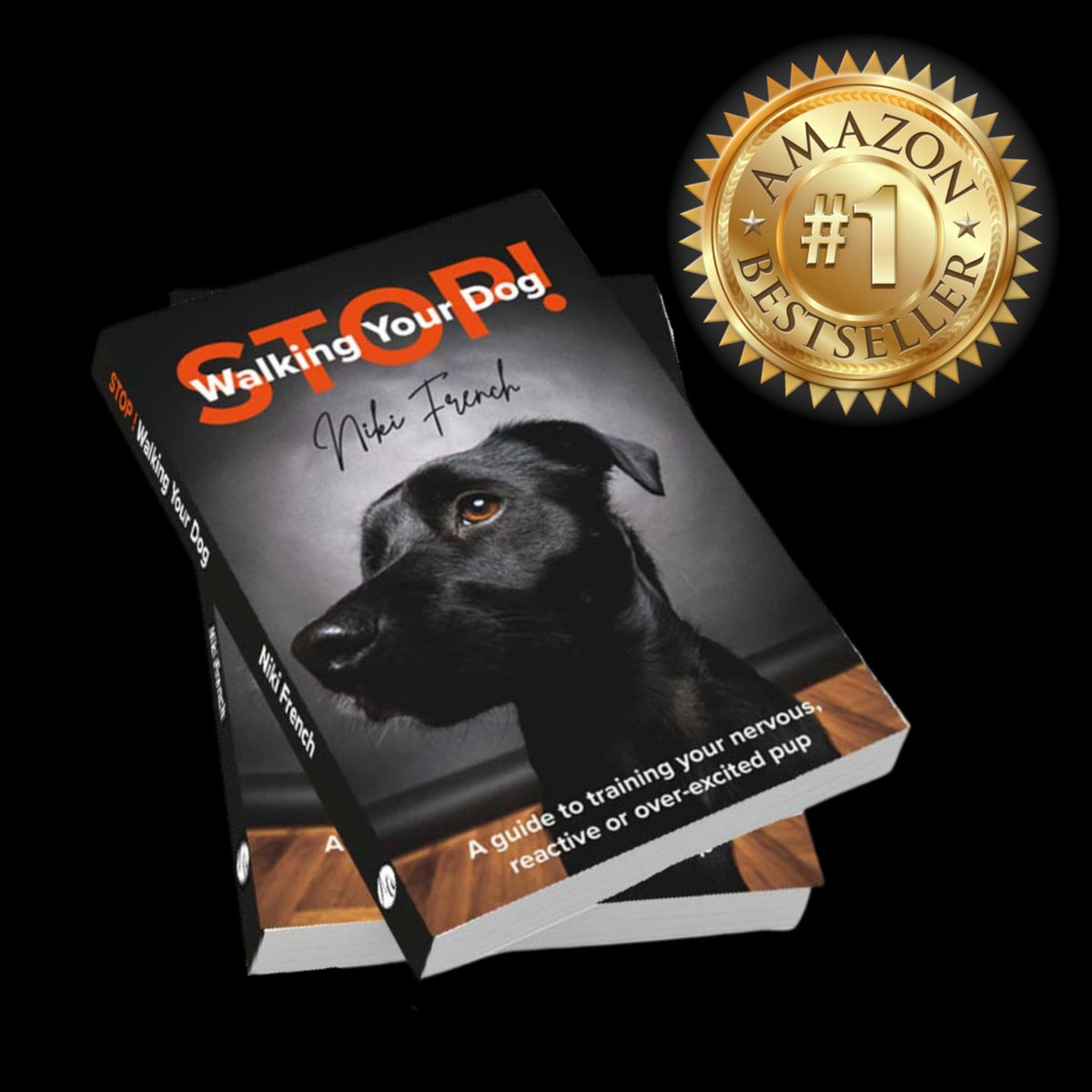 STOP! WALKING YOUR DOG BOOK – My Anxious Dog