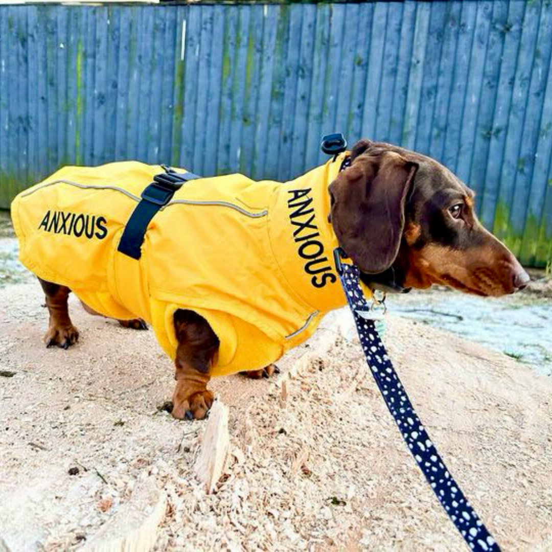 Yellow Dog Rain Coats | Lightweight | My Anxious Dog