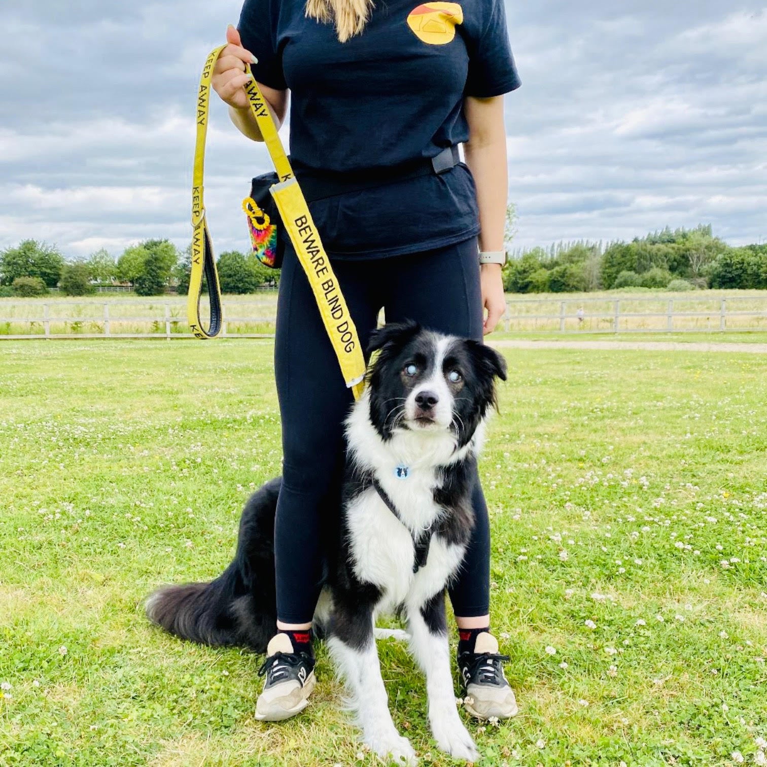 Yellow Space Awareness Lead Slip Covers – My Anxious Dog