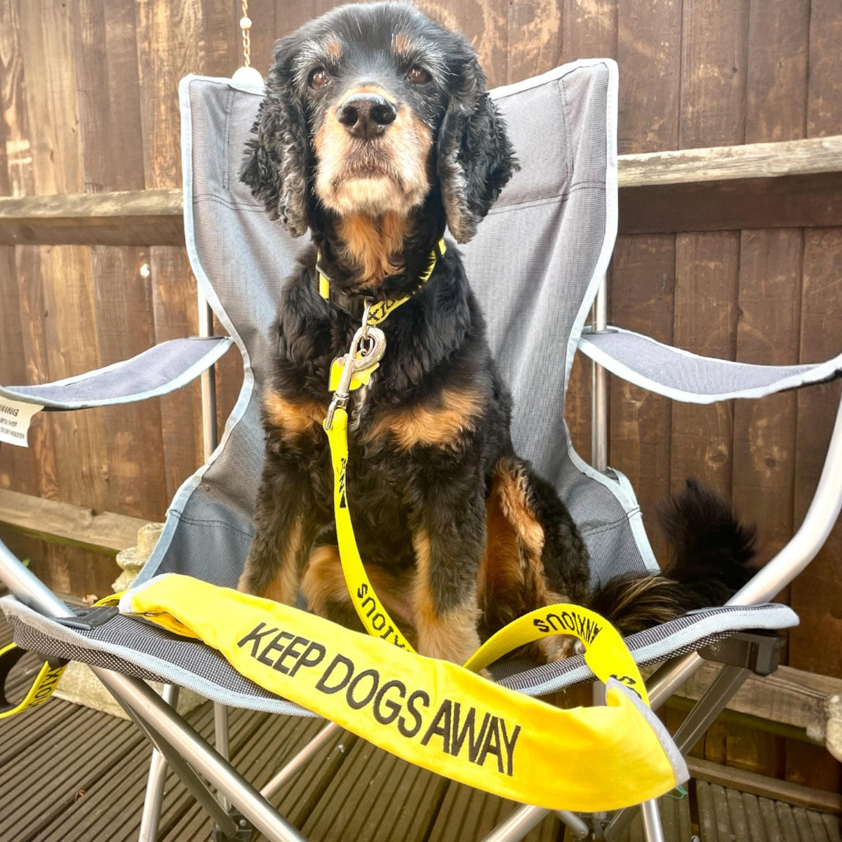 Nervous Dog Lead Slip Cover | Keep Dogs Away | My Anxious Dog