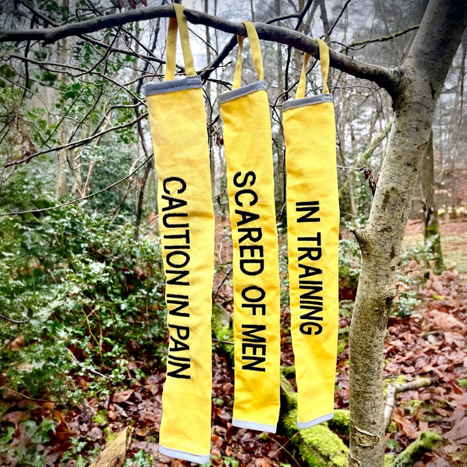 Yellow Lead slip Cover for nervous dogs – My Anxious Dog