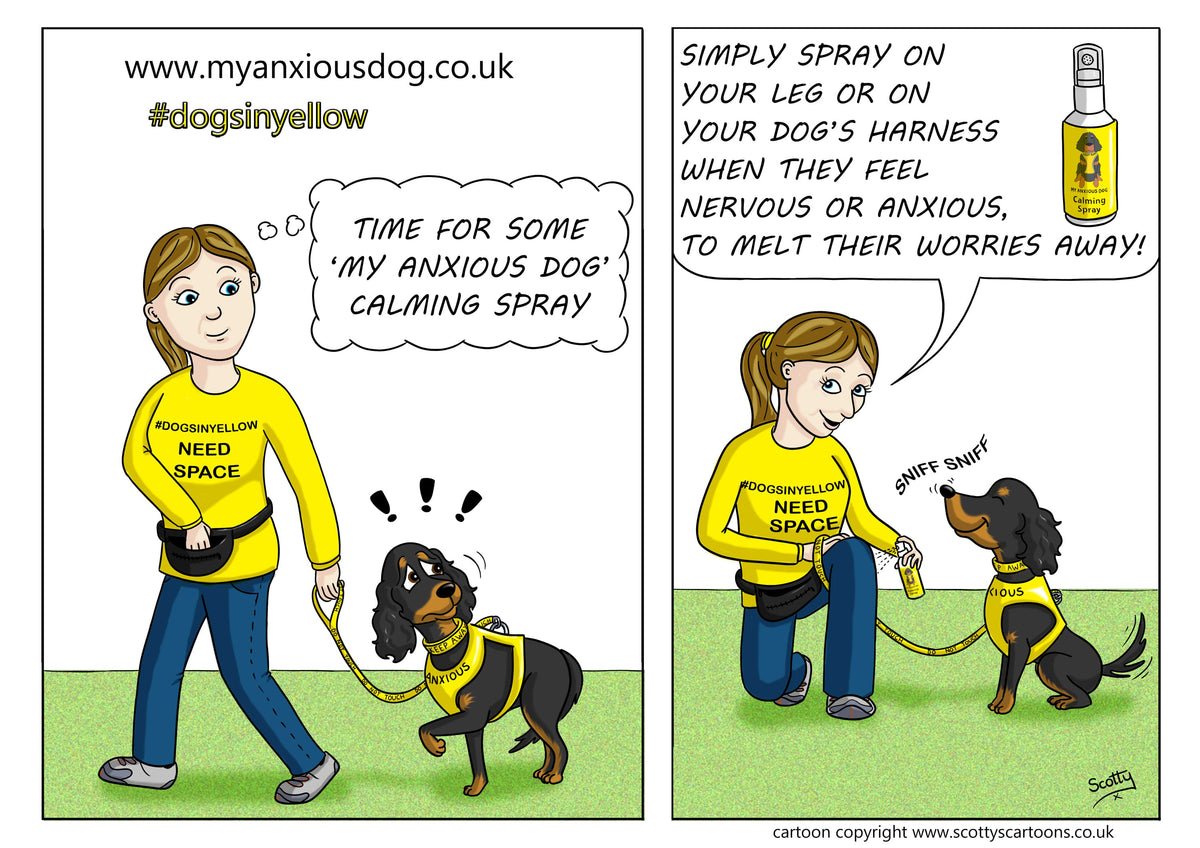 Calming spray for anxious dogs – My Anxious Dog